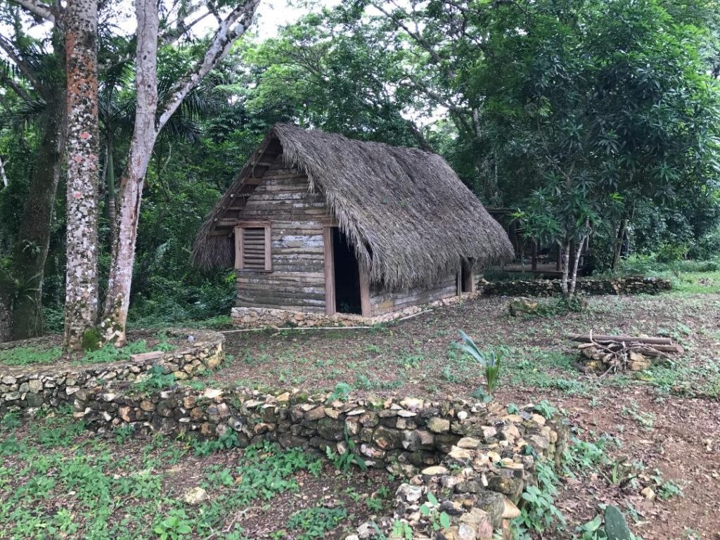 FGSJ Webinar: Archaeology and Reconstructive Illustration of Life in ...